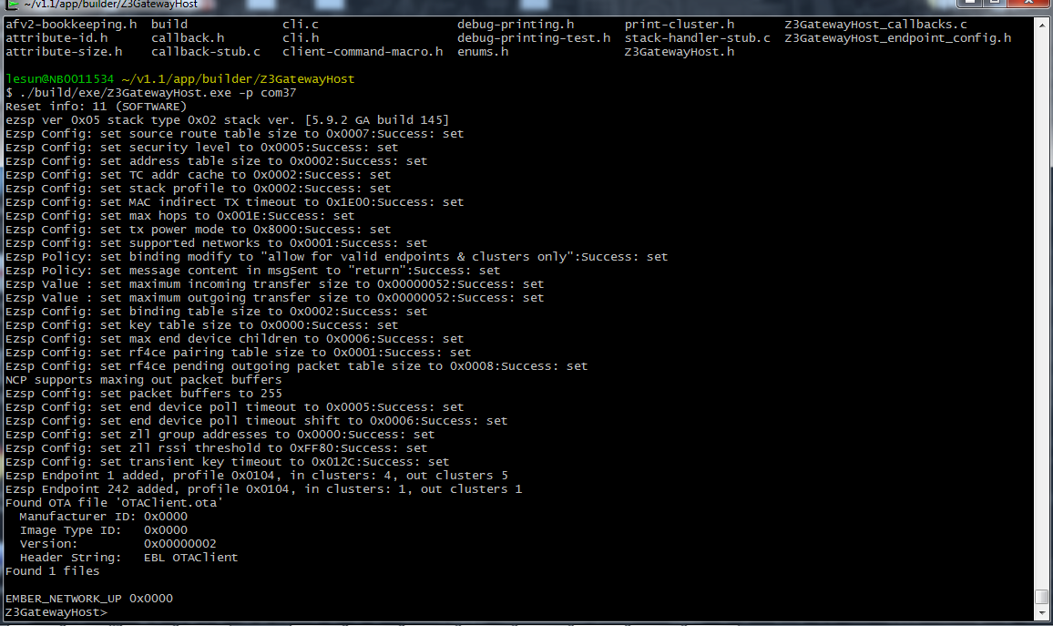 How to setup OTA Server and OTA Client on WSTK+4162 radio boards ...