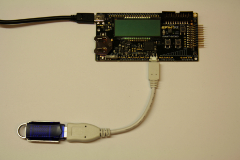 How can I update EFM32 firmware from a binary image on an attached USB ...