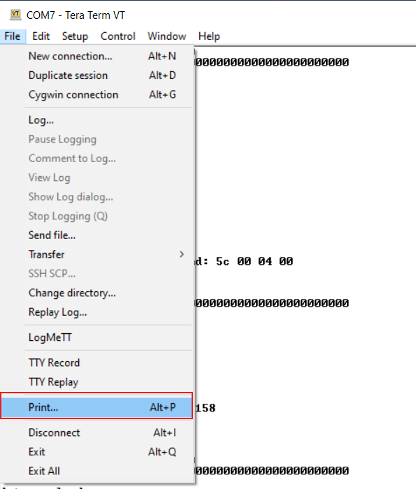 Debug packet exchanges between Module and Host MCU